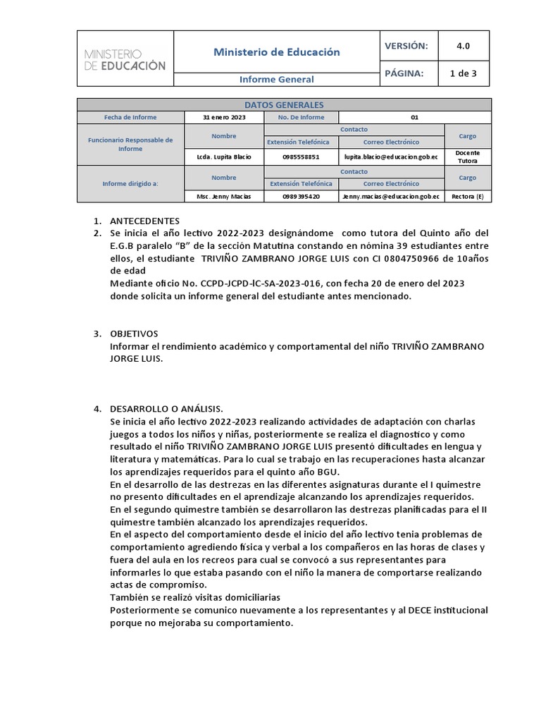 Formato Informe General - v3 00550716001575928829 | PDF