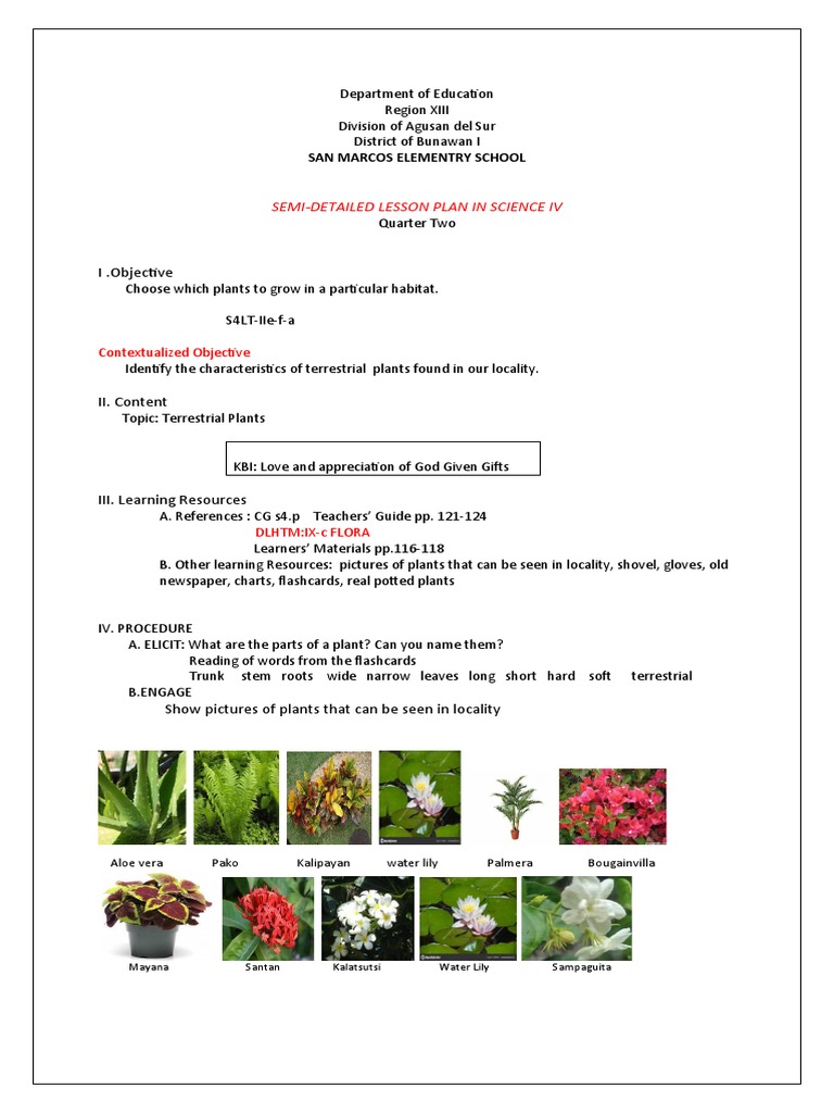 Q2 DLP Science | PDF | Learning | Cognition