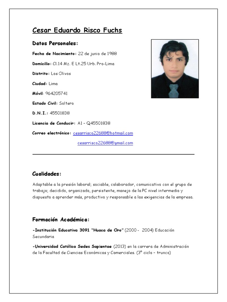 CV Cesar Risco F. | PDF