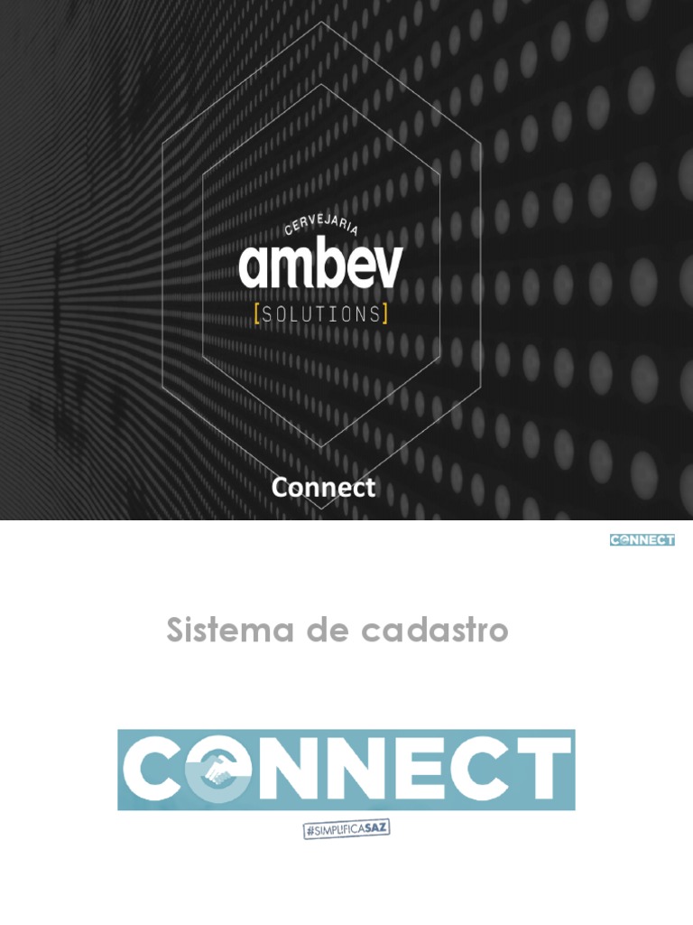 Sistema Connect Versão Fornecedor PDF | PDF