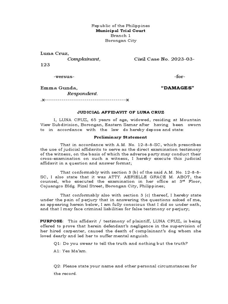 Judicial Affidavit Sample | PDF | Affidavit | Perjury
