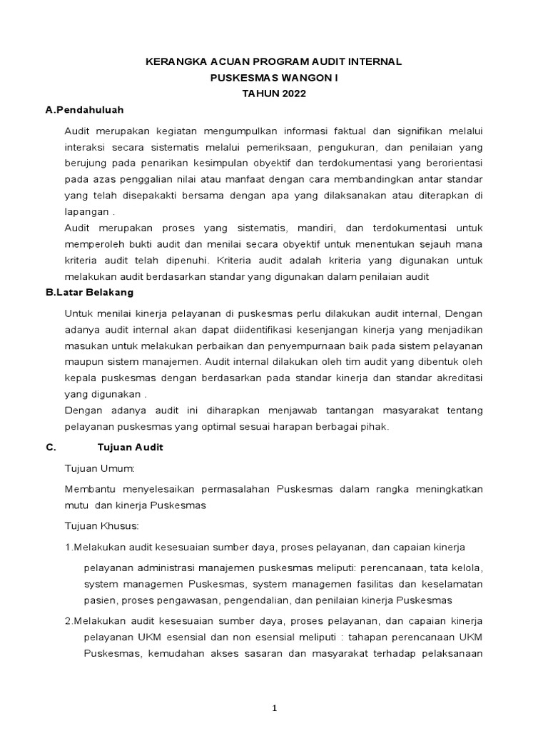 1 Kap Audit Internal | PDF