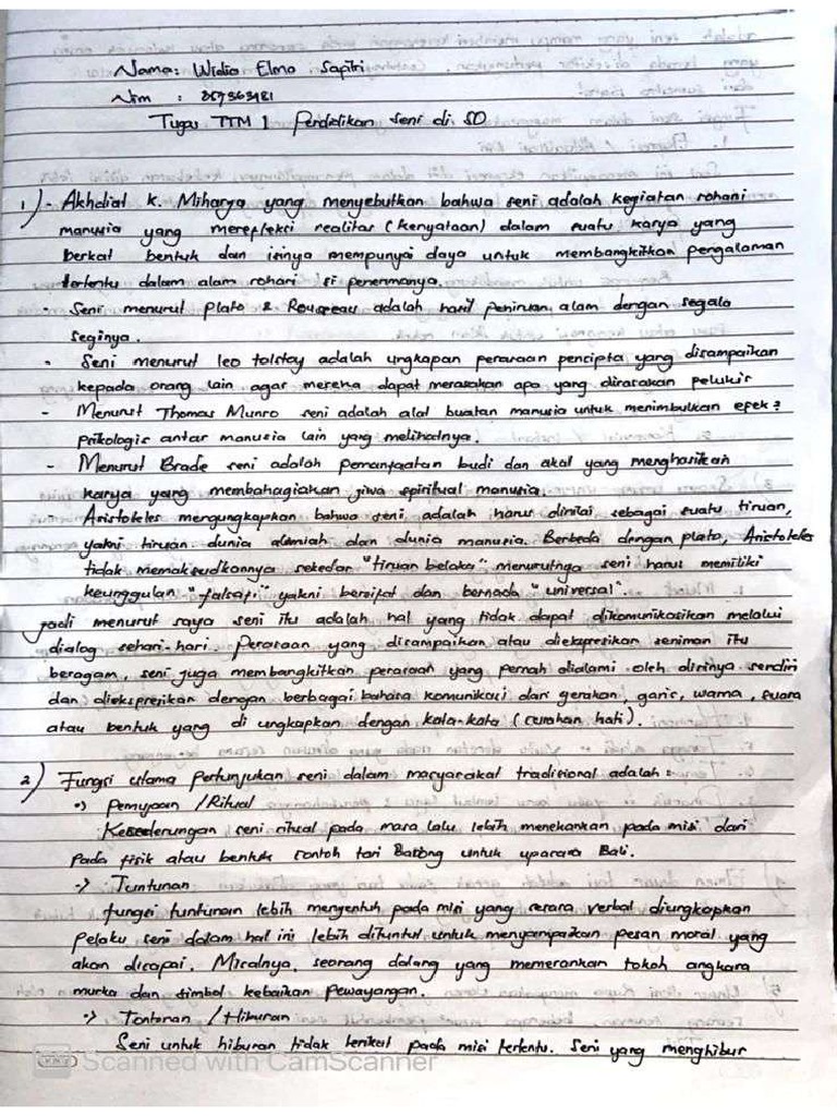 TTM 1 Pendidikan Seni | PDF