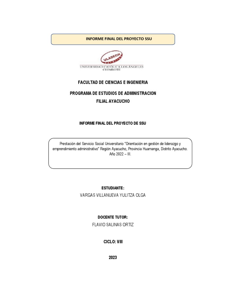 Informe Final - Respo Viii | PDF | Marketing | Business