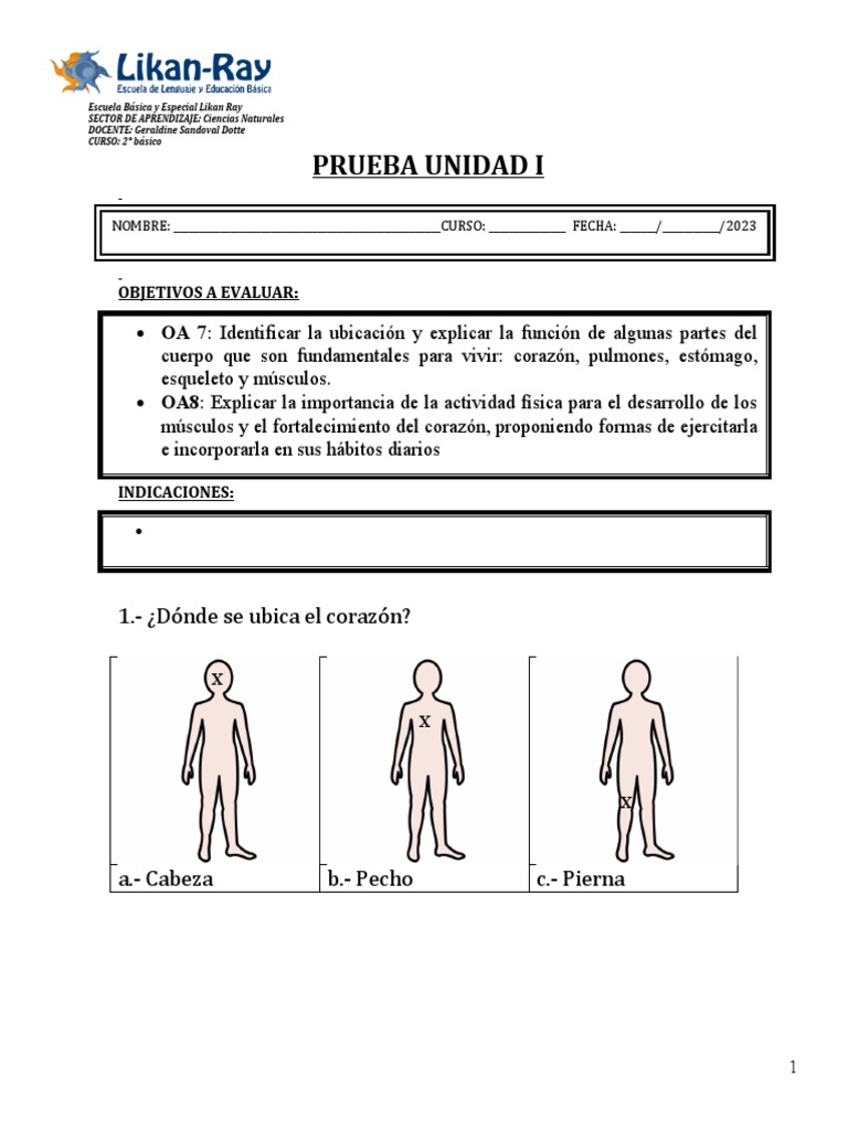 Prueba de Ciencias 2° Básico (2° Nota) | PDF