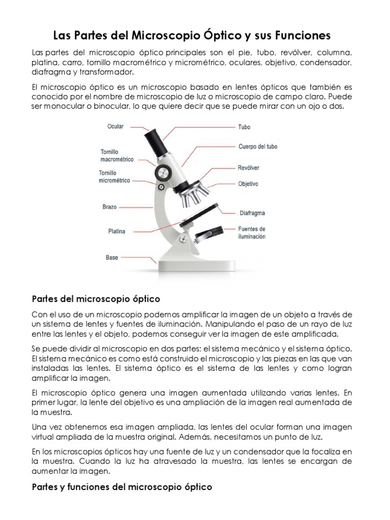 Partes Del Microscopio Optico y Sus Funciones | PDF | Óptica | Microscopio