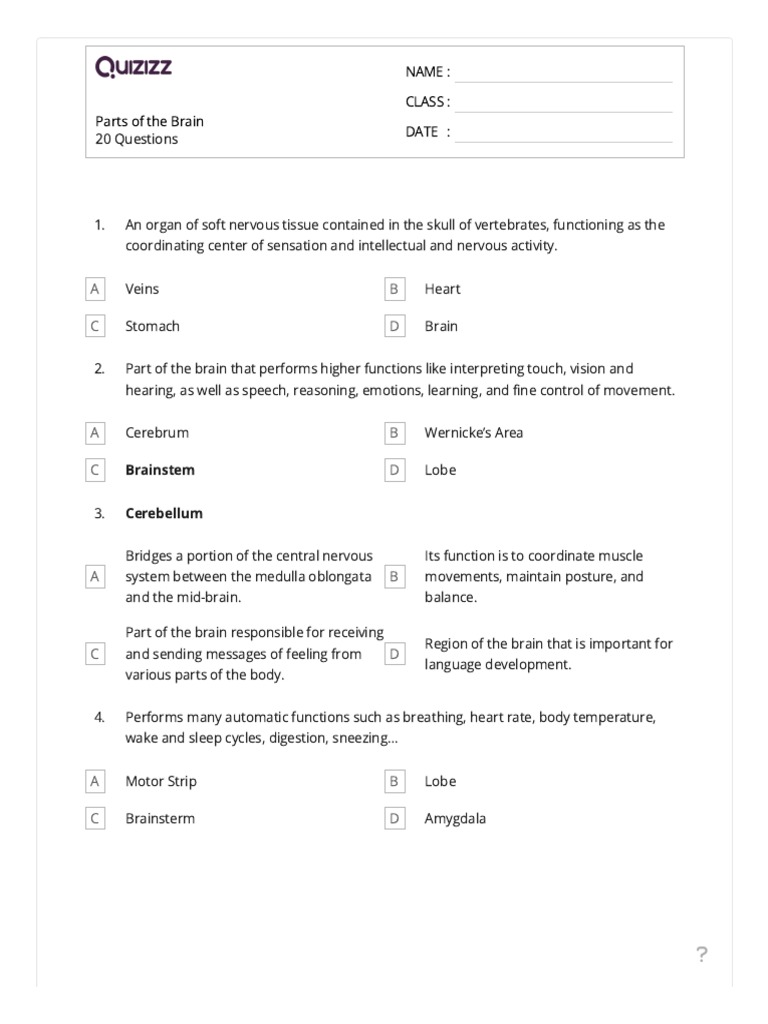 Parts of The Brain (5!31!23 Quizziz) | PDF | Self-Improvement