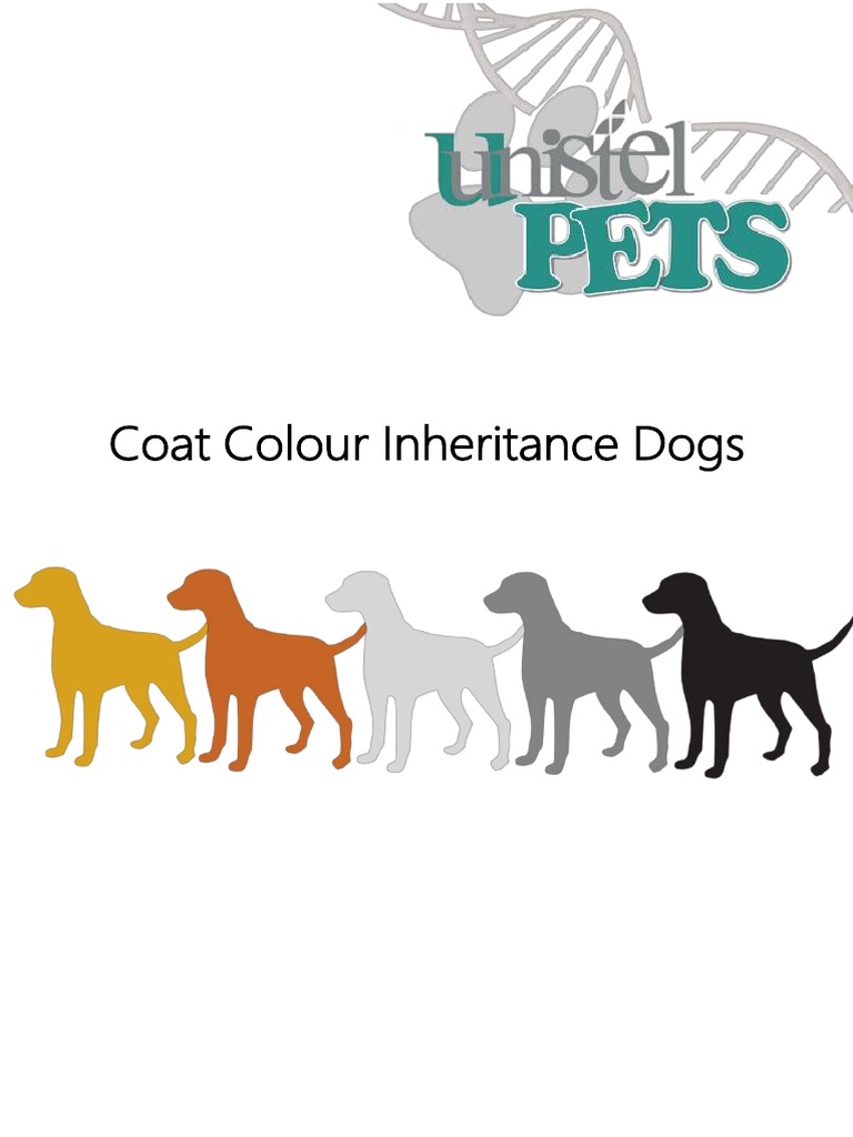 Coat Colour Genetics | PDF | Dominance (Genetics) | Allele