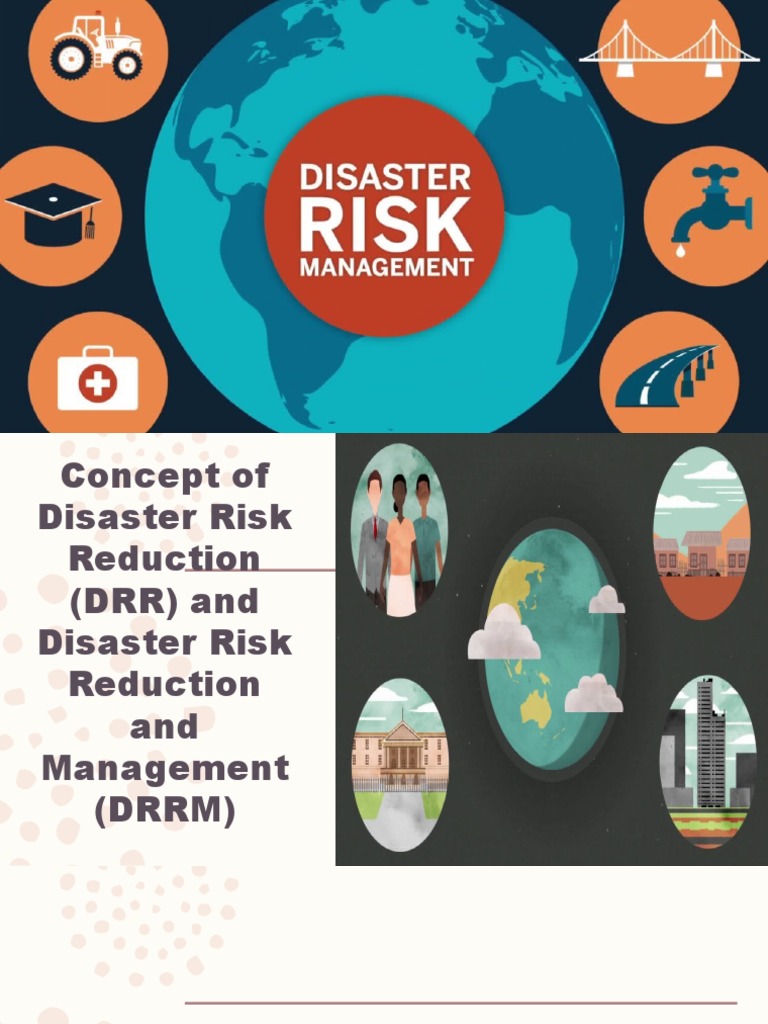 Lesson 10 Concept of DIRRR | PDF