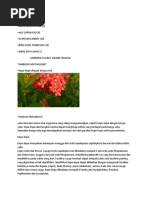 Anggrek Mekar Pontianak | PDF