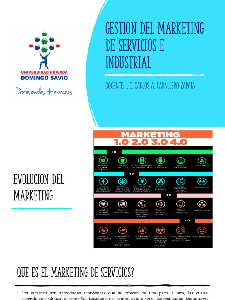 Tema 1 Gestion Del Marketing de Servicios e Industrial | PDF | Marketing | Mercado (economía)