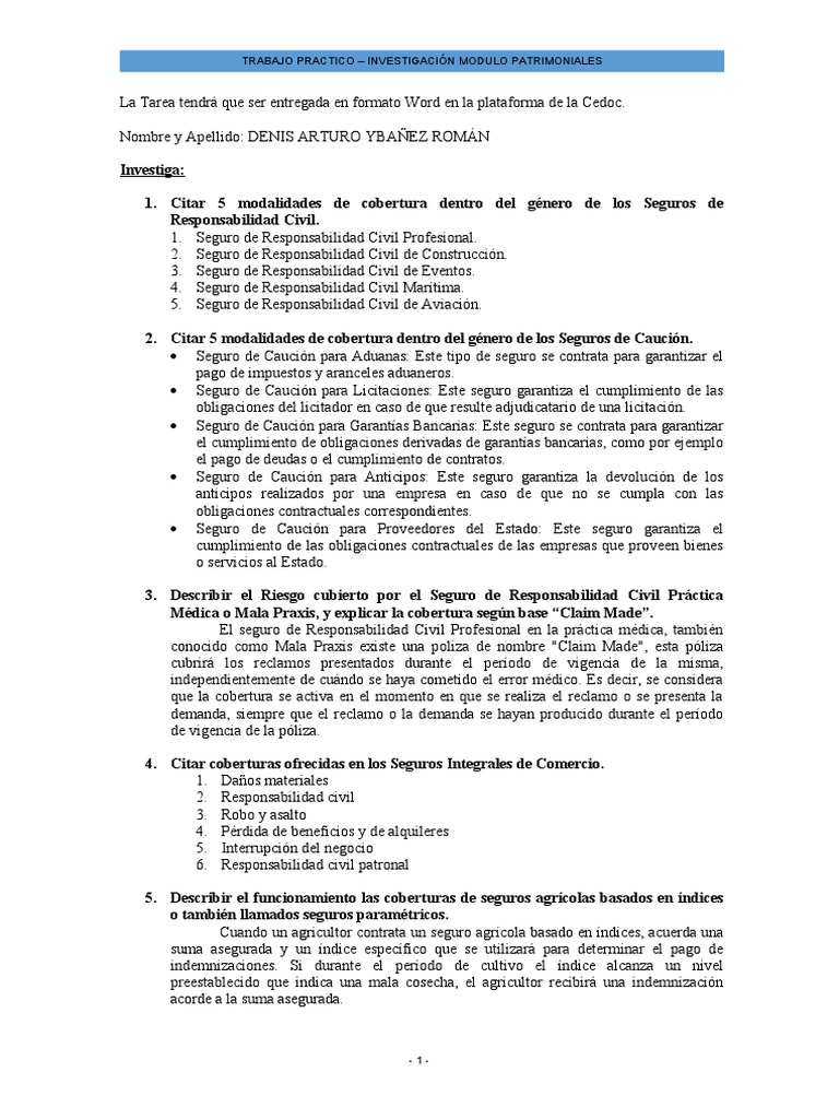 Trabajo Practico - Investigación Modulo Patrimoniales - Cedoc.2022 Denis Ybañez | PDF