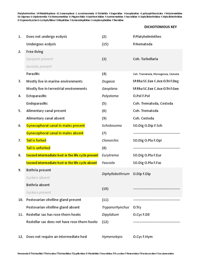 Bio 116 Le2 Dichotomous Key | PDF | Protostomes | Parasitology