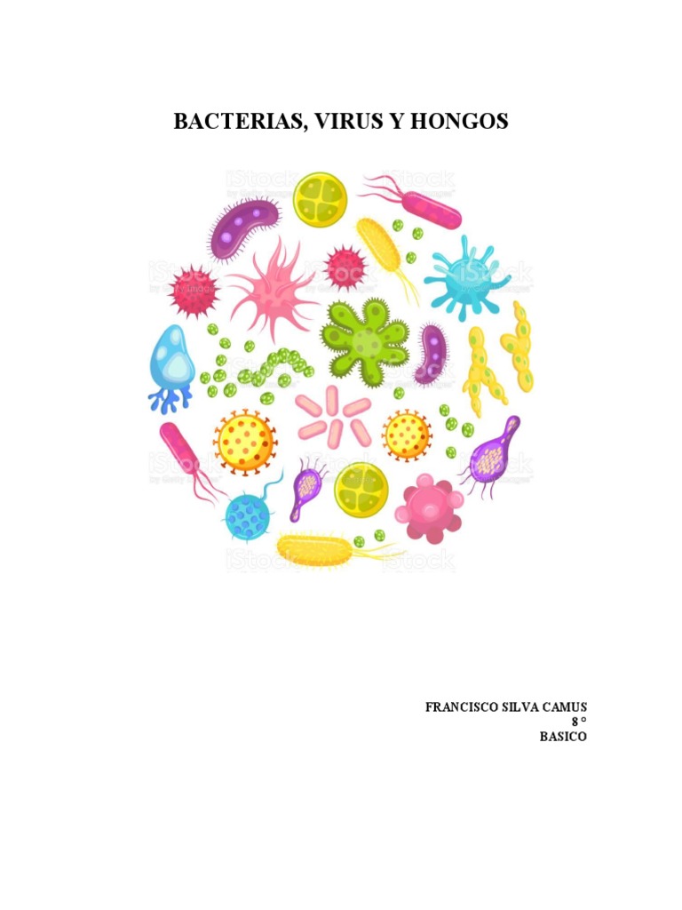 BACTERIAS Hongos Virus | PDF | Virus | Hongo