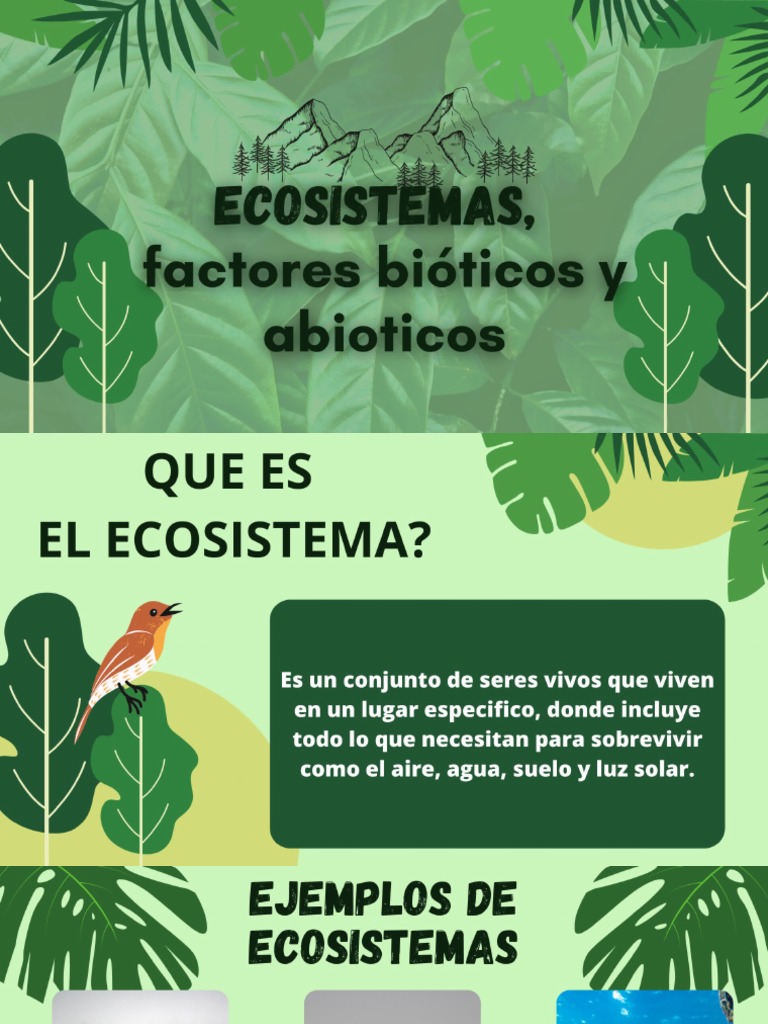 Ecosistemas, Factores Bioticos y Abioticos | PDF