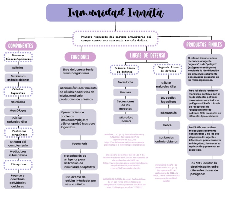 Mapa Conceptual-Inmunidad Innata | PDF | Sistema inmune innato | Sistema inmune