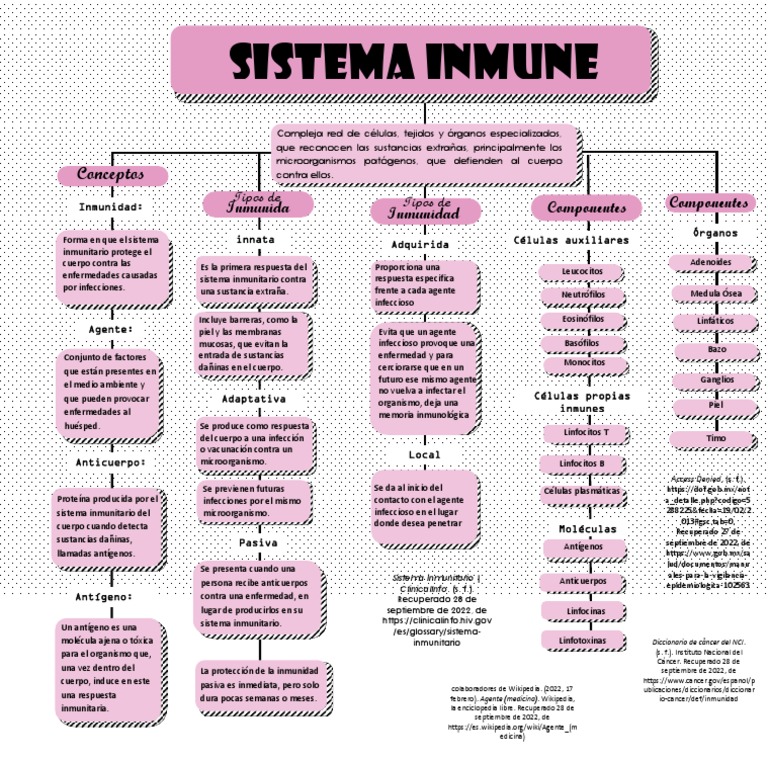 Mapa Conceptual-Sistema Inmune | PDF