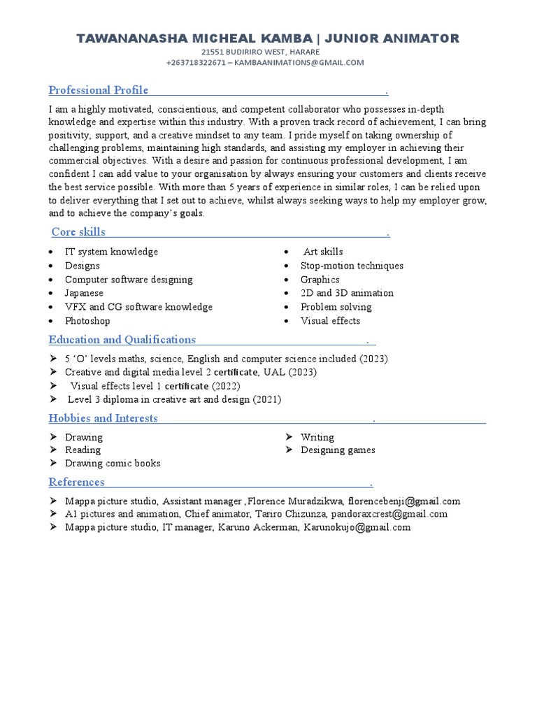Carriculum Vitae Kamba | PDF | Animation | Computing