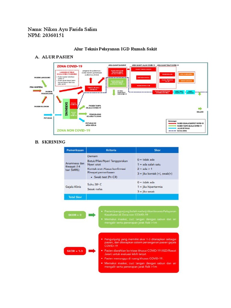 Niken Ayu Farida Salim Tugas IKM | PDF