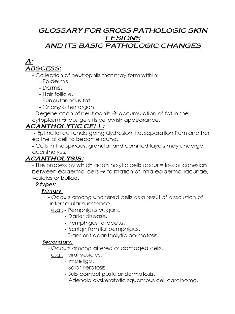 Skin Lesions: Key Pathologic Terms | PDF | Epidermis | Skin