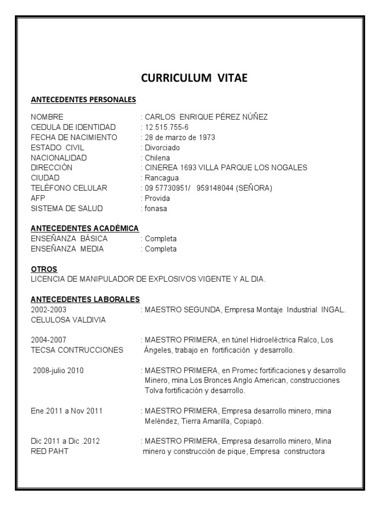 CURRICULUM VITAE Carlos Perez 2022 | PDF | Chile | Economias