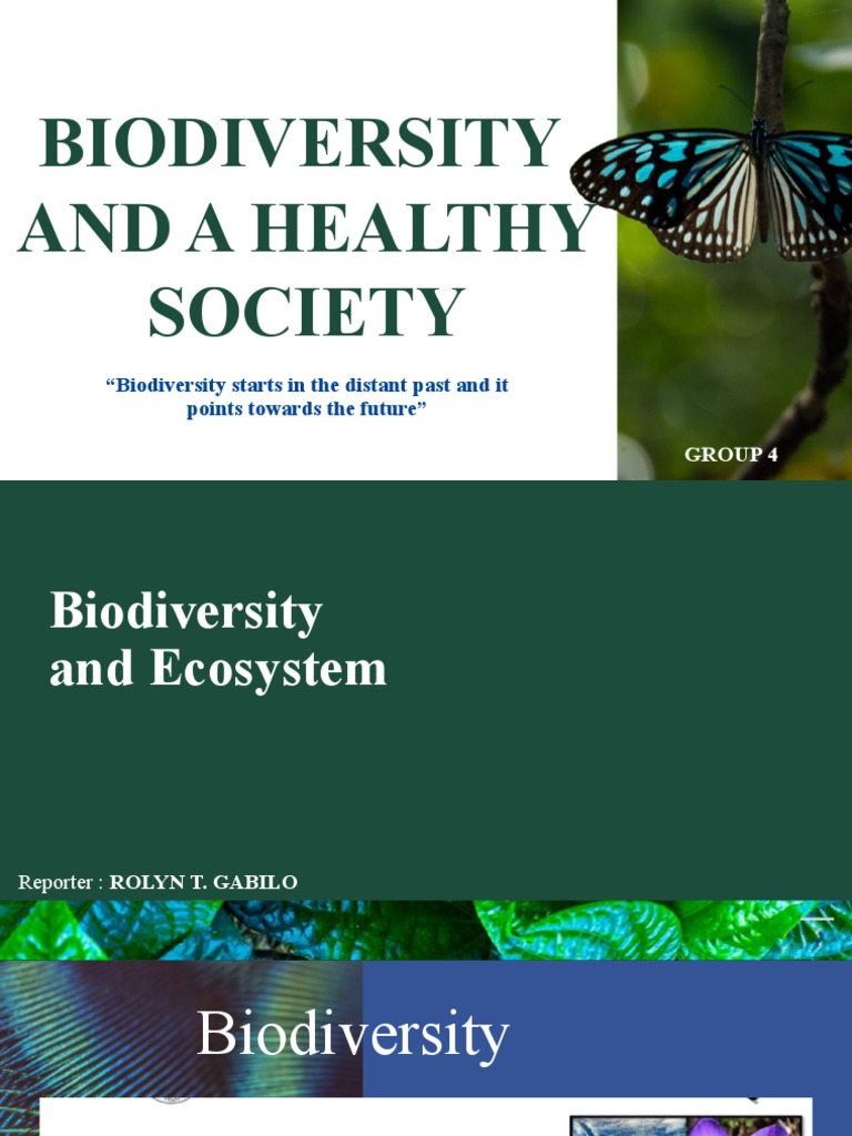 Biodiversity | PDF