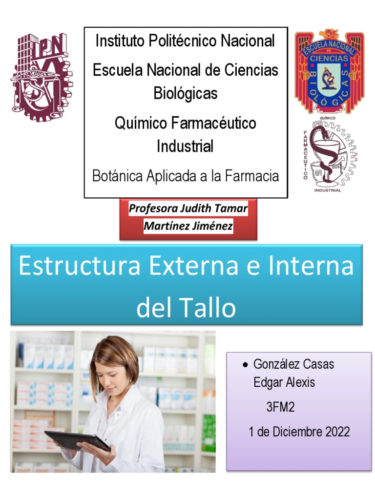 Estructura Externa e Interna Del Tallo. | PDF | Tallo de la planta | Raíz