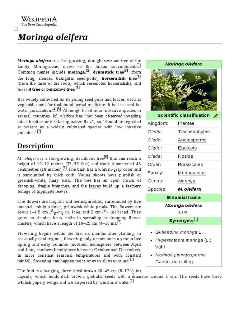 Moringa Oleifera | PDF | Agriculture | Plants