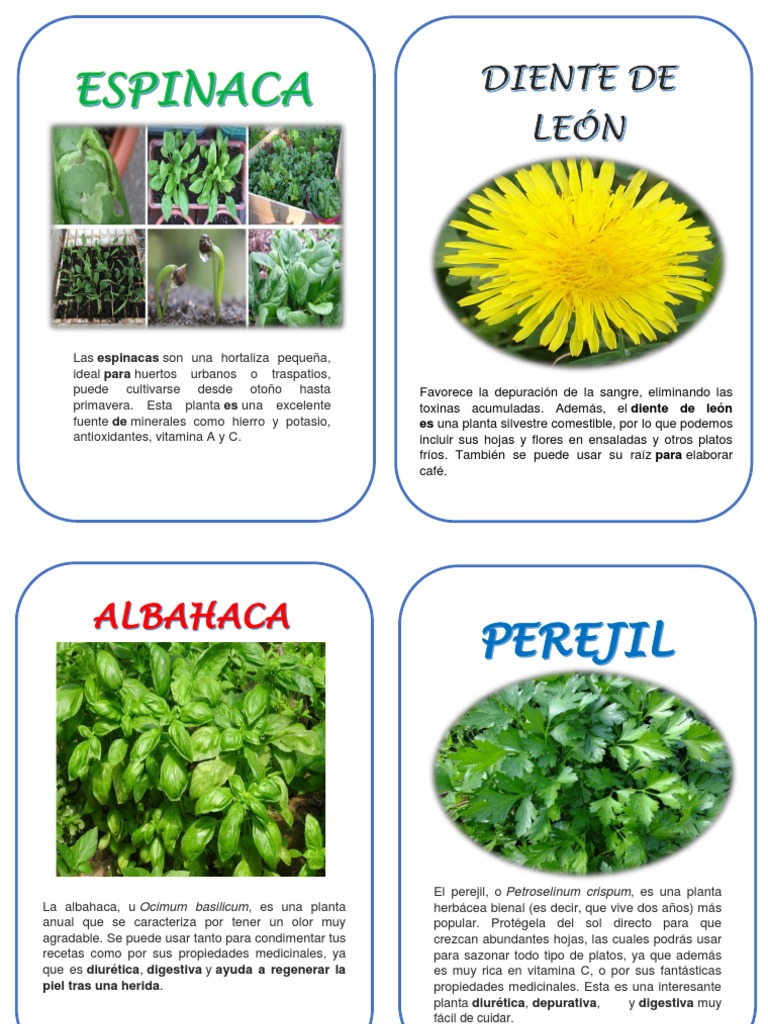 Plantas Medicinales | PDF