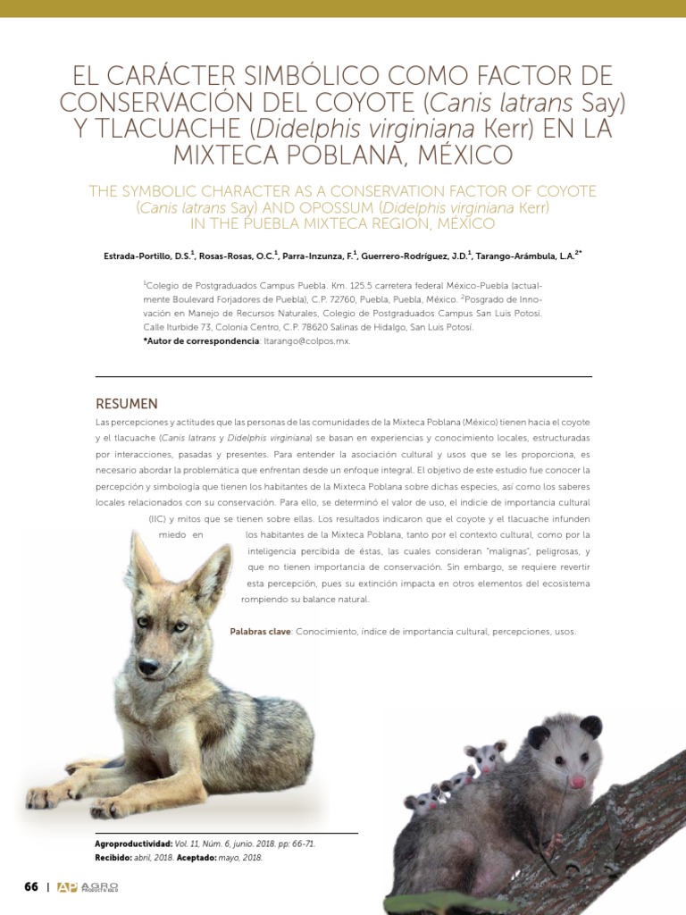 Simbología y conservación del coyote en Mixteca | PDF | Cilantro | Carne