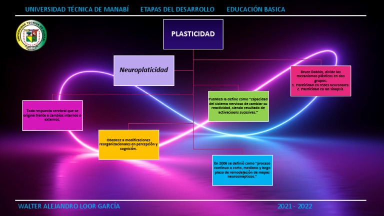 Mapa Conceptual Unidad 4 | PDF
