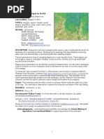 Pathfinder 2E Eidolon Character Sheet | PDF | Tabletop Games | Role ...