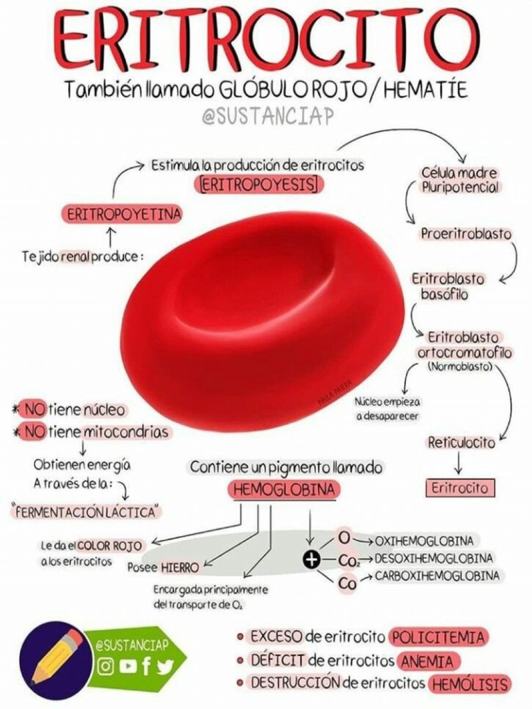 hemoglobin-a-pdf