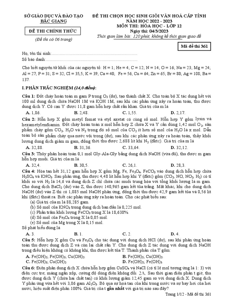 HSG 12 BẮC GIANG 2022-2023 | PDF