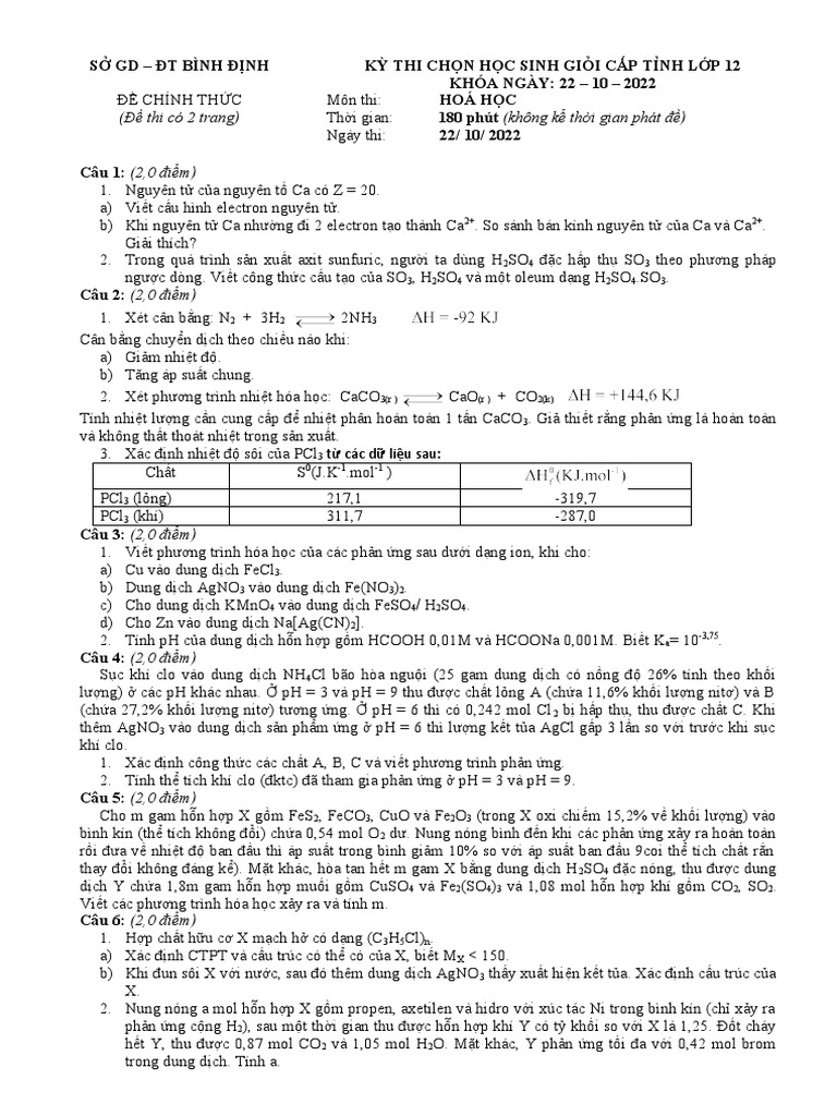 HSG 12 BÌNH ĐỊNH 2022-2023 | PDF