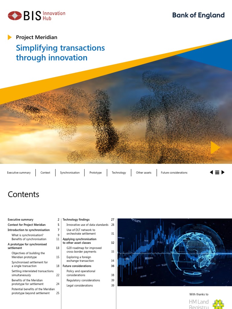 BIS Project Meridian 1681907424 | PDF