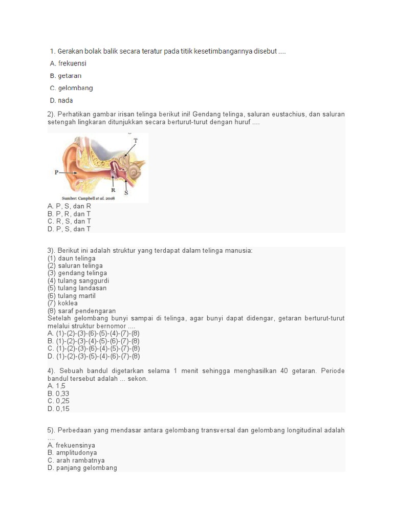 Soal PAT IPA Kelas 8 | PDF | Kajian Bahasa Asing | Seni