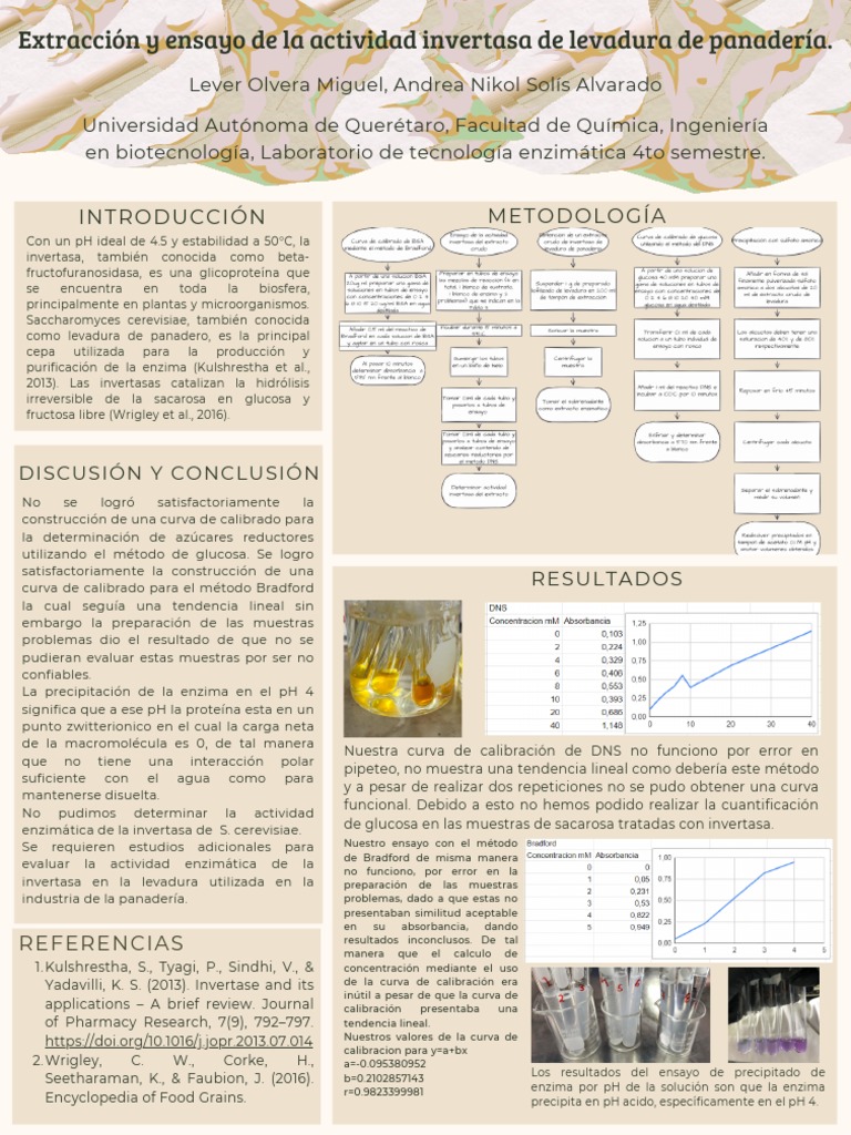 Extraccion y Ensayo de La Actividad Invertasa de Levadura y Panaderia ...