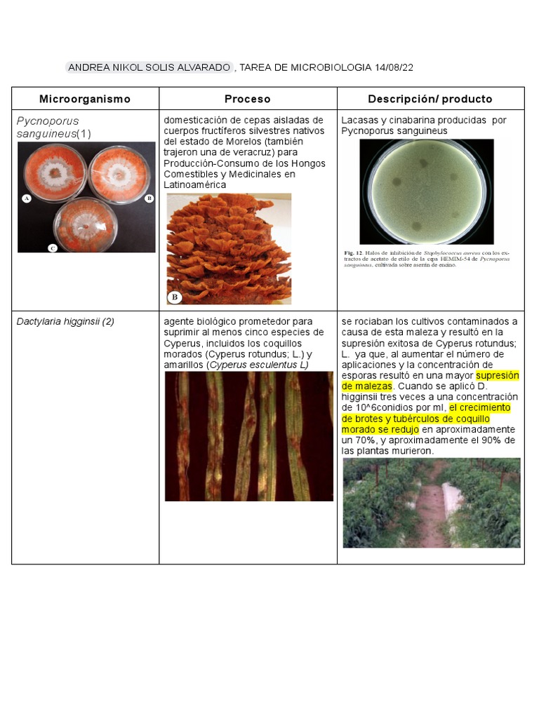 Tarea de Microb. Nikol | PDF | Las bacterias | ADN recombinante