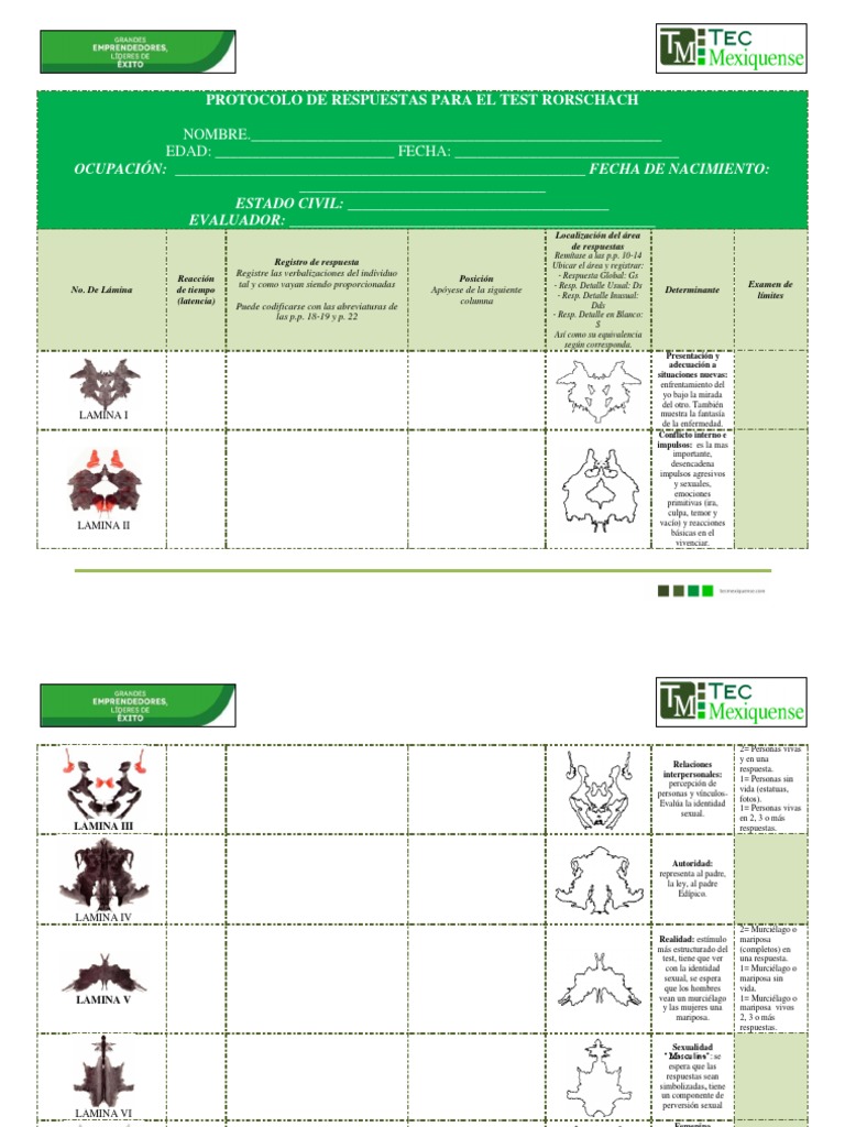 Protocólo de Respuestas Rorschach | PDF
