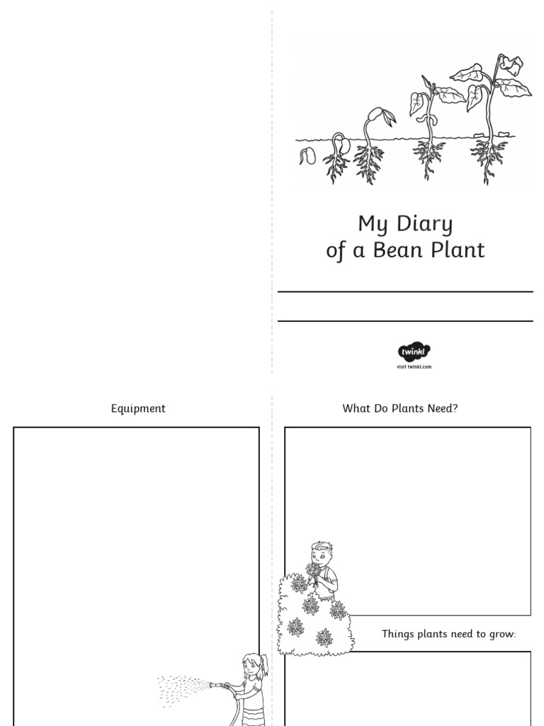 My Diary of a Bean Plant Ver 2 | PDF