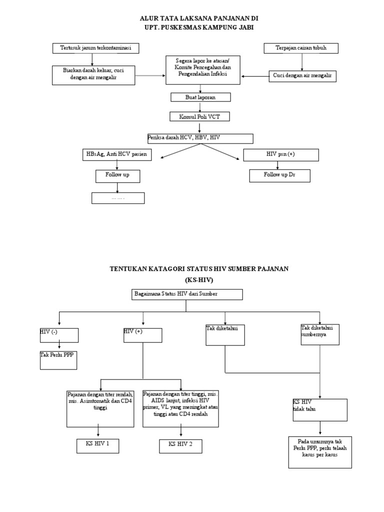 Bagan Alir Tatalaksana Pajanan | PDF