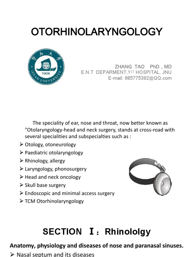 1 RHINOLOGY Nose | Download Free PDF | Human Nose | Common Cold