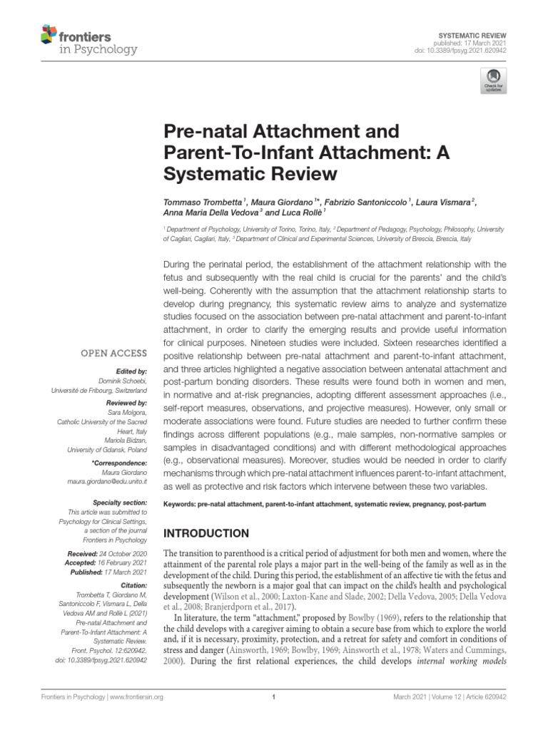 Pre Natal Attachment | PDF | Attachment Theory | Family