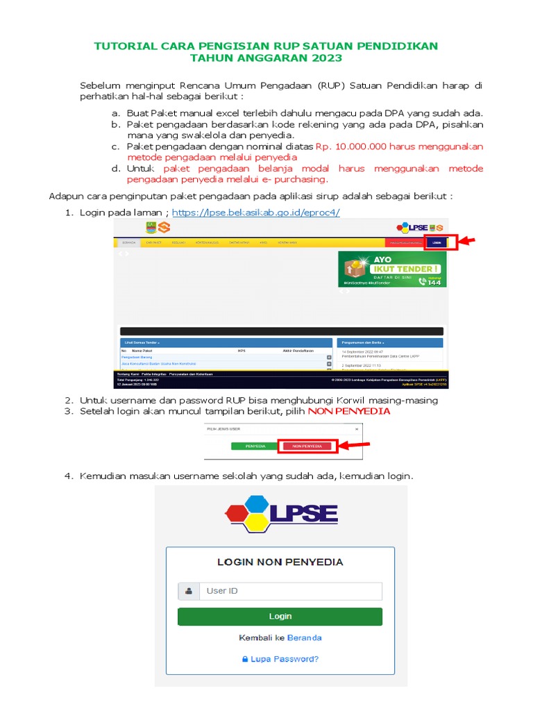 2023 - Tutorial Input Rup | PDF