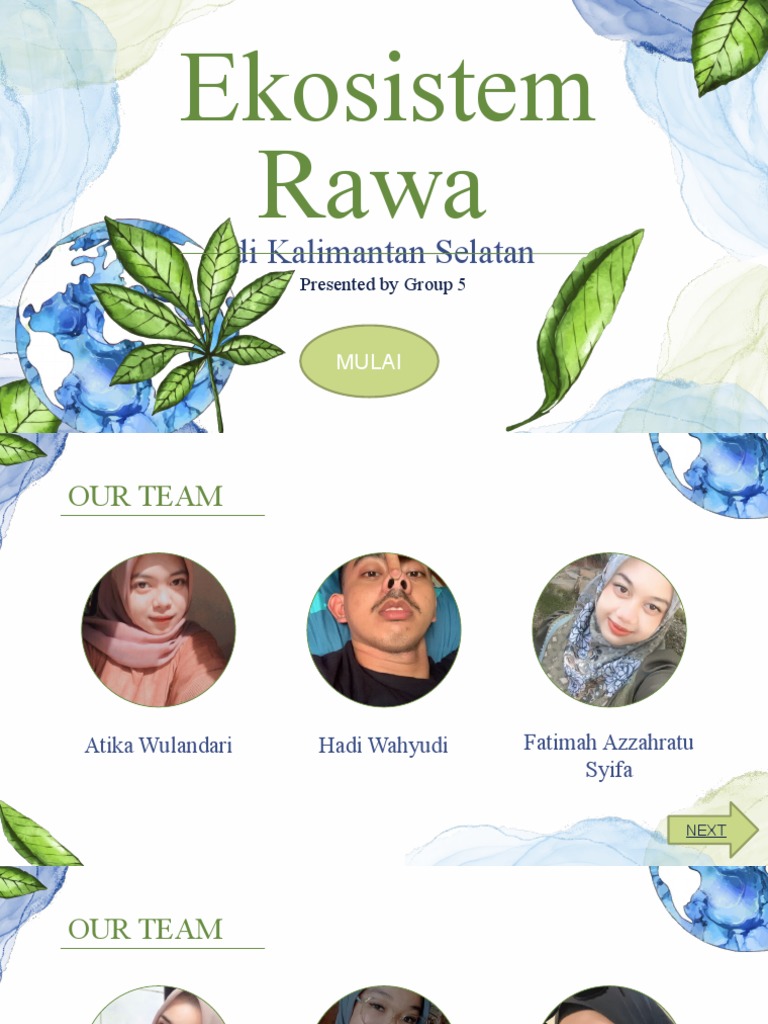 Ekosistem Rawa Kalimantan Selatan | PDF