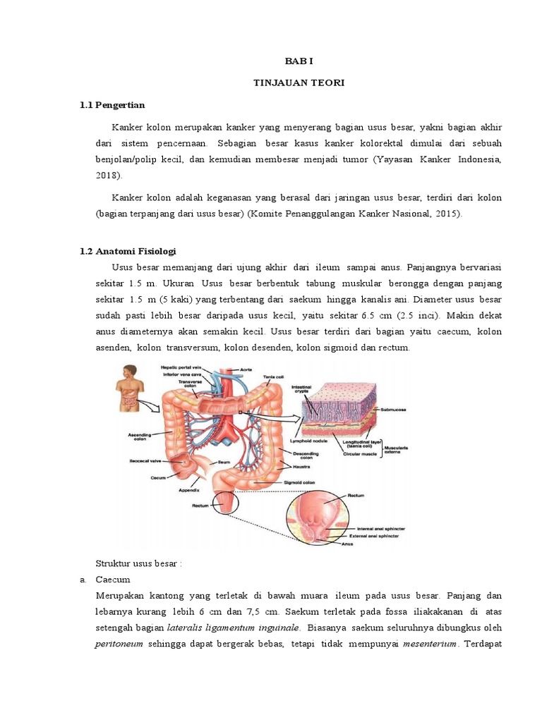 LP Askep Ca Colon | PDF