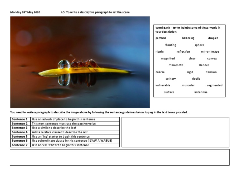 English Slow Writing Bug On Leaf X | PDF