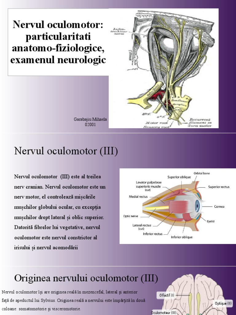 Nervul Oculomotor Particularitati Anatomo-Fiziologice | PDF