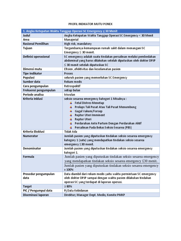 Profil Indikator Mutu Ponek | PDF